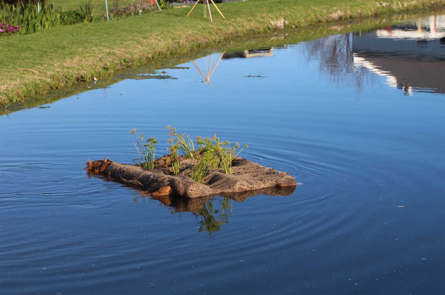 BUILDING WETLANDS - Sustainable Schools