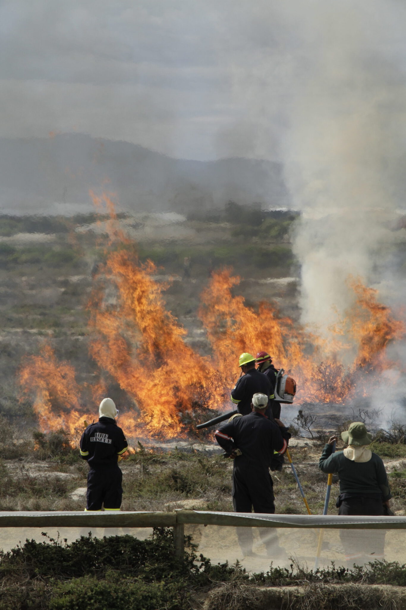 Milnerton Racecourse Ecological Burn - Sustainable Schools