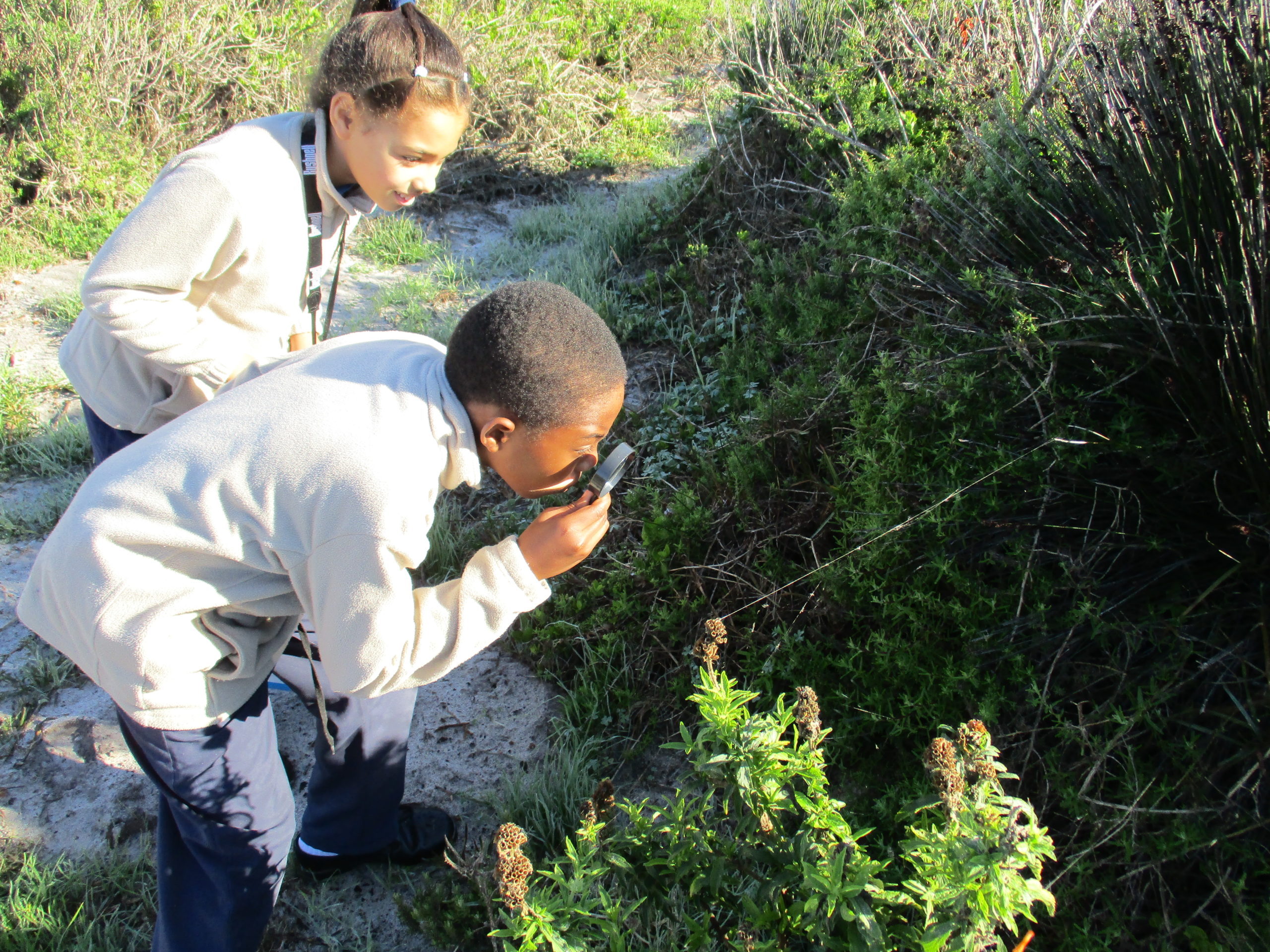 Ways Kids Benefit from Nature - Sustainable Schools