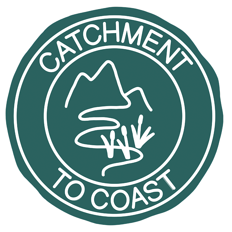 Groundwater Kids - Sustainable Schools