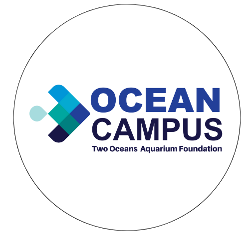 Two Oceans Aquarium Foundation | Ocean Campus. - Sustainable Schools