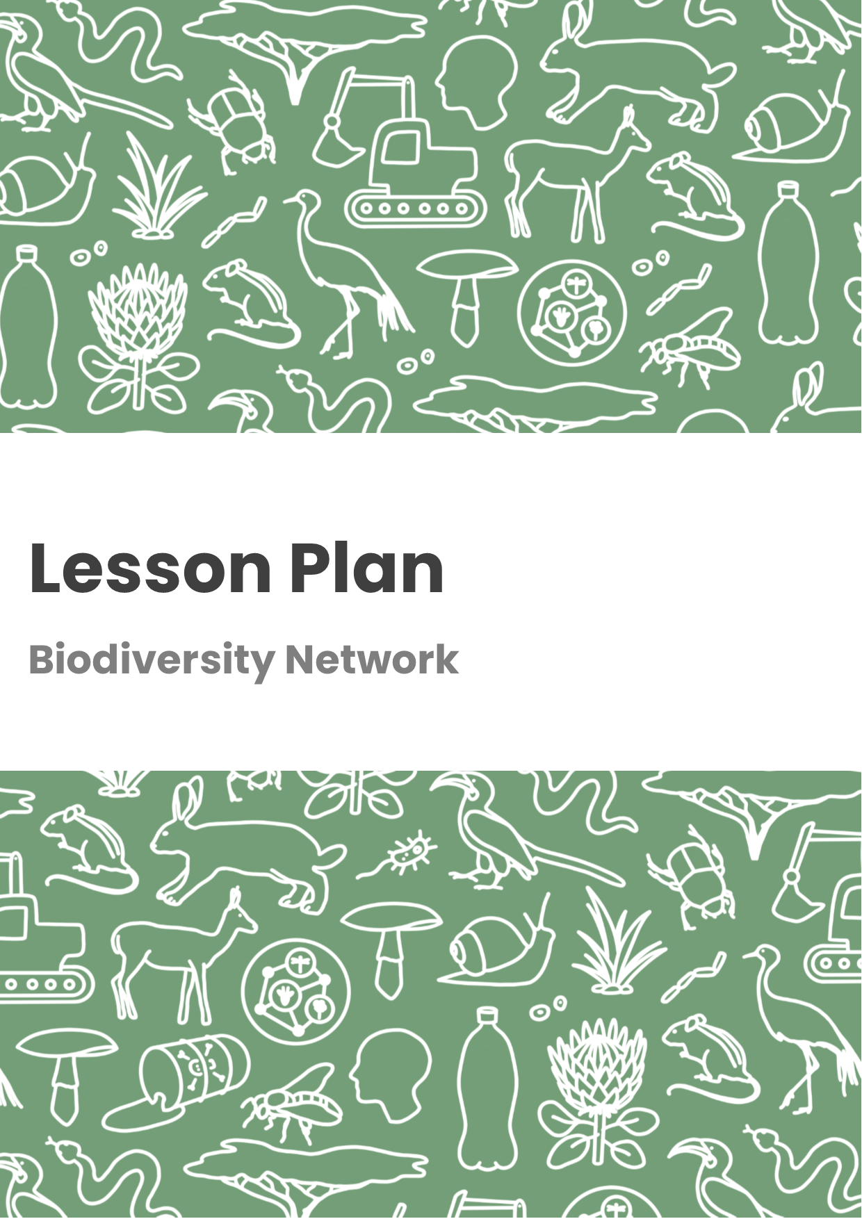 Valuable Vultures - Grade 3-5 - Sustainable Schools