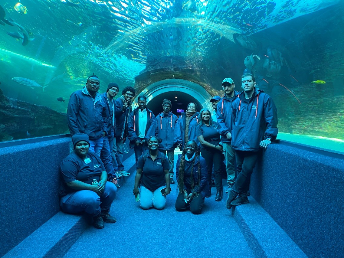 Marine Training Course with Two Oceans Aquarium: Understanding Marine ...