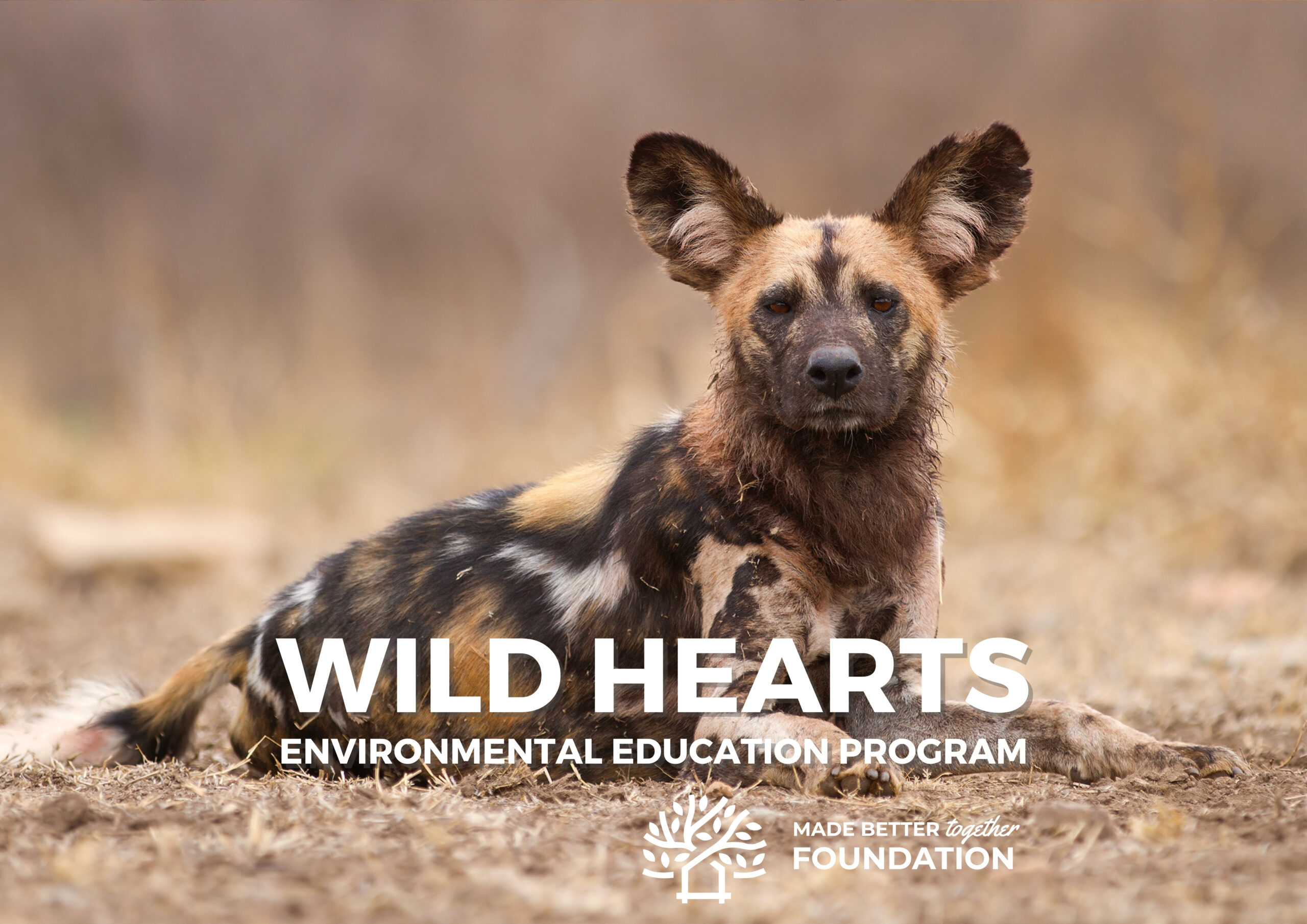WILD HEARTS - ECD Wild Dog Activities - Term 3 - Sustainable Schools