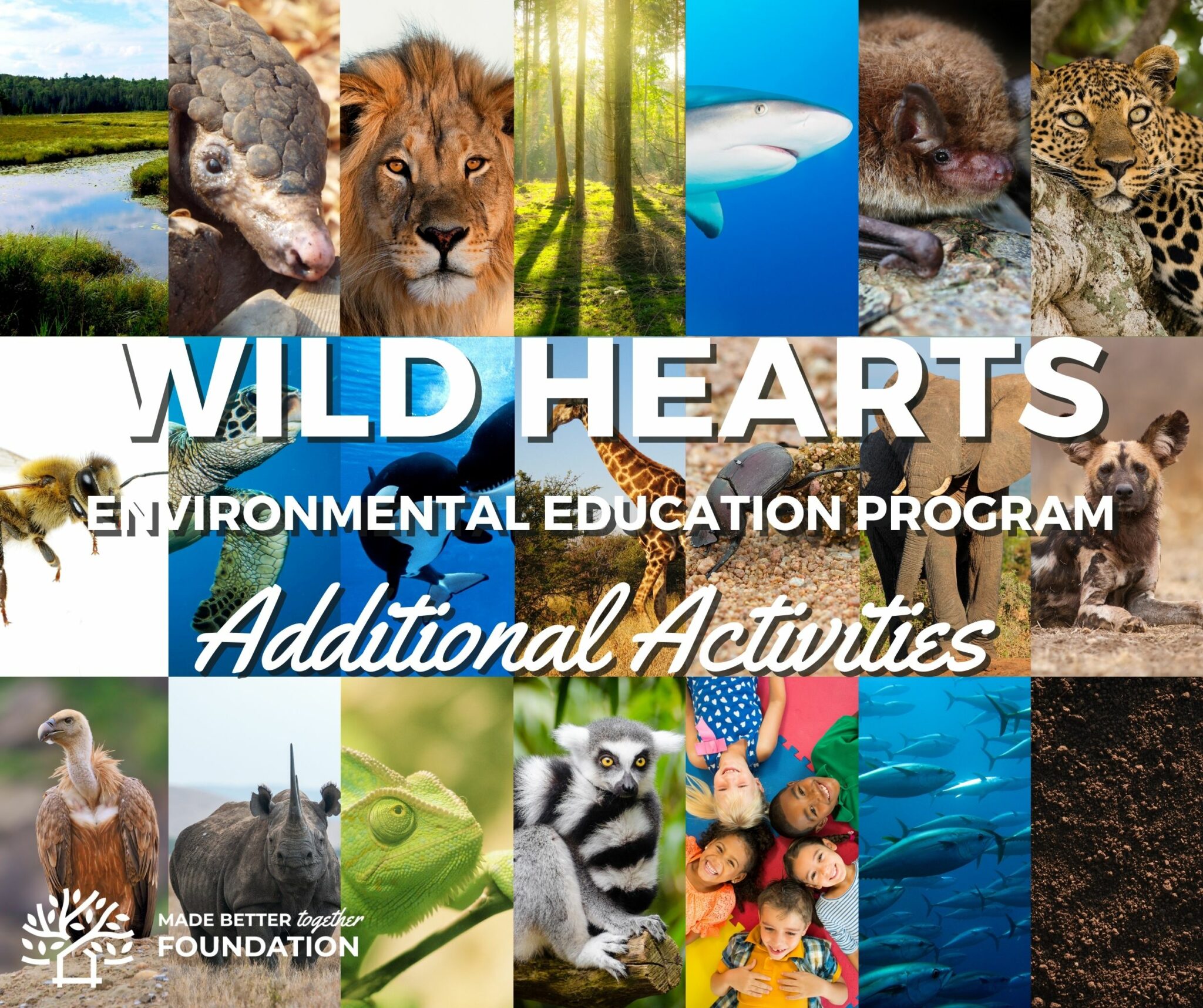 WILD HEARTS - ECD Weather Chart - Sustainable Schools