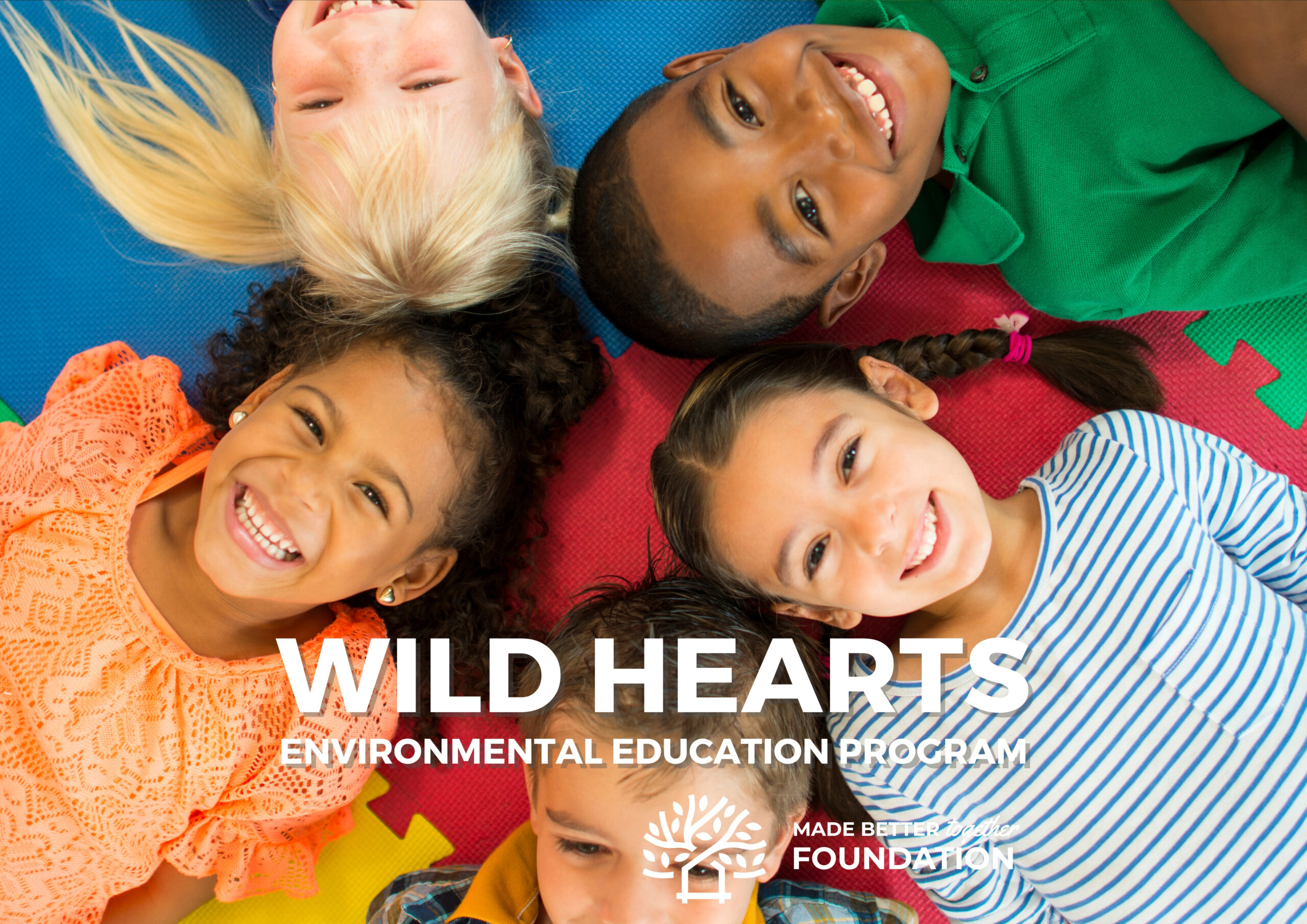 WILD HEARTS - ECD Animal Matching Activities - Term 4 - Sustainable Schools