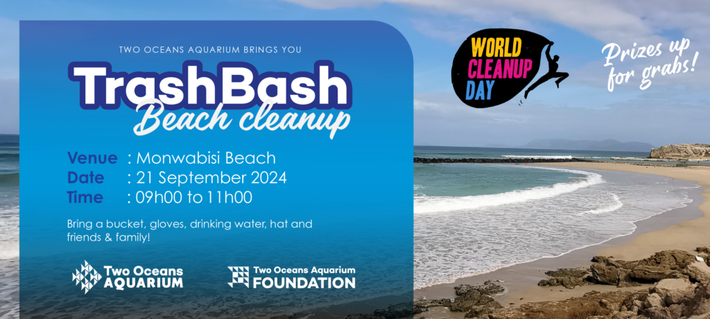 Events from August 9 – October 5 – Sustainable Schools