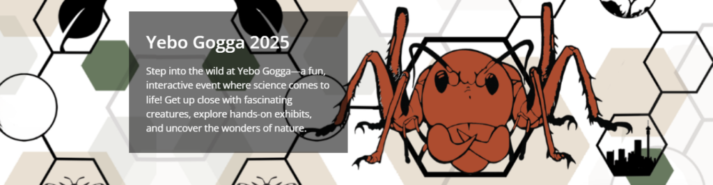 Yebo Gogga 2025 - Sustainable Schools