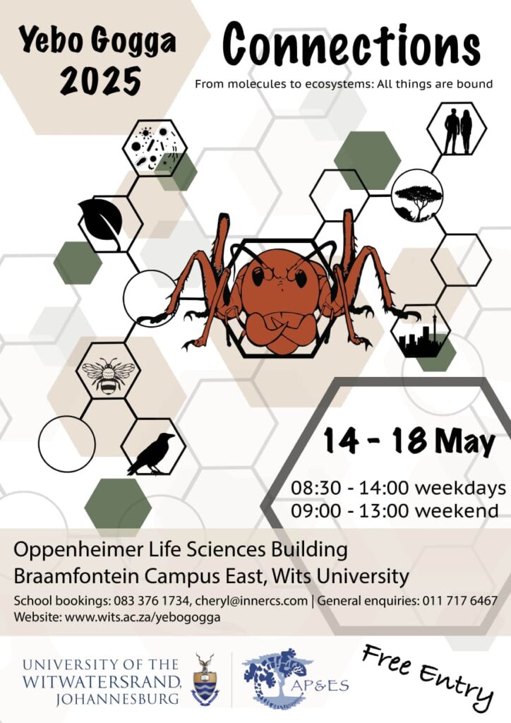 Yebo Gogga 2025 - Sustainable Schools