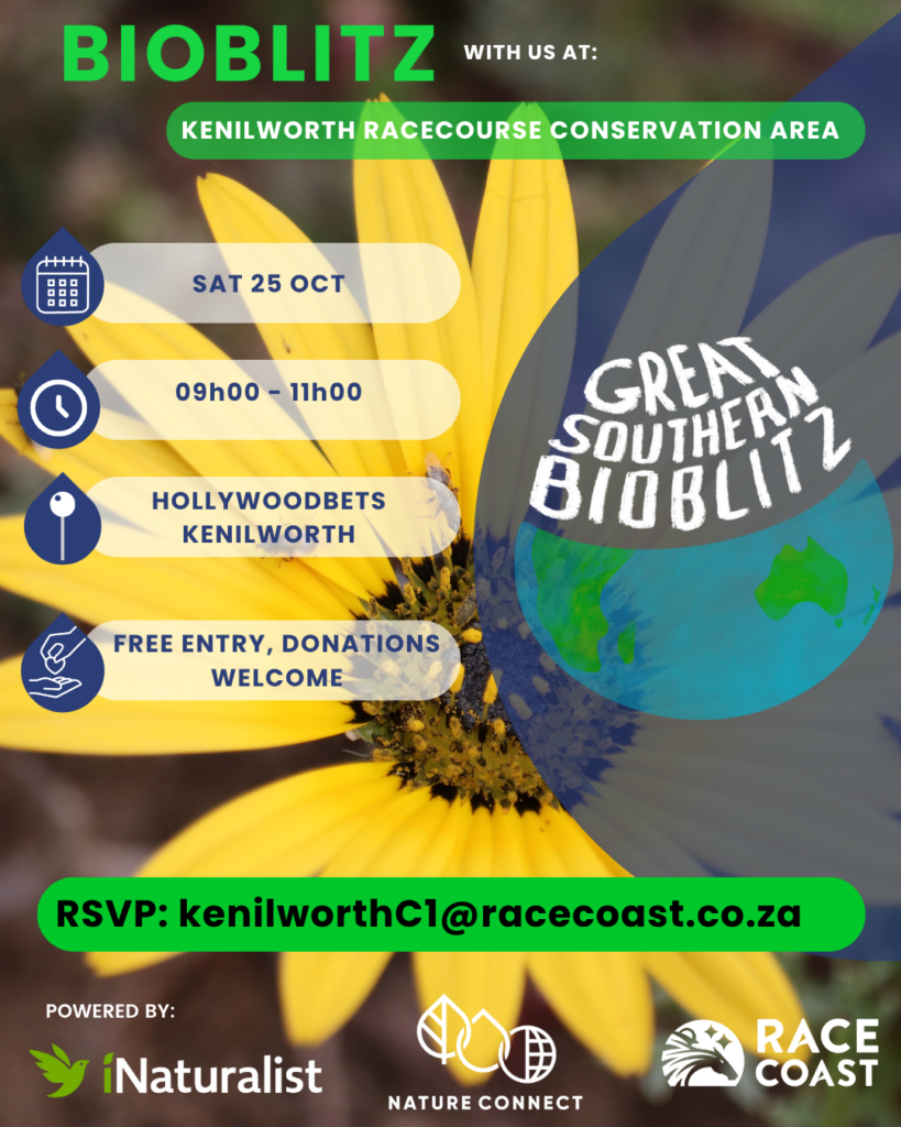 BioBlitz: Kenilworth Racecourse Conservation Area - Sustainable Schools
